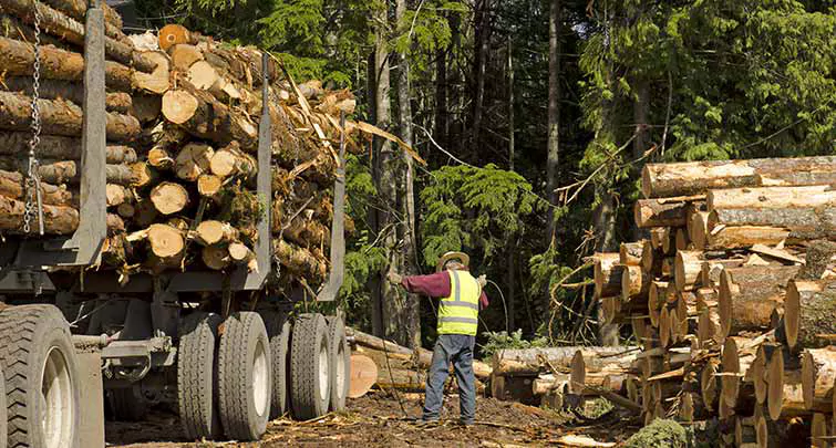 Cargo Securement for Drivers: Logs - Compliance Central