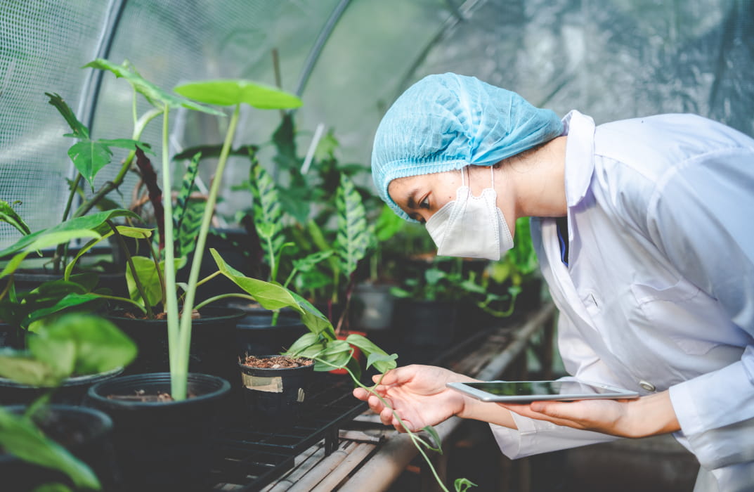 Botany - Compliance Central